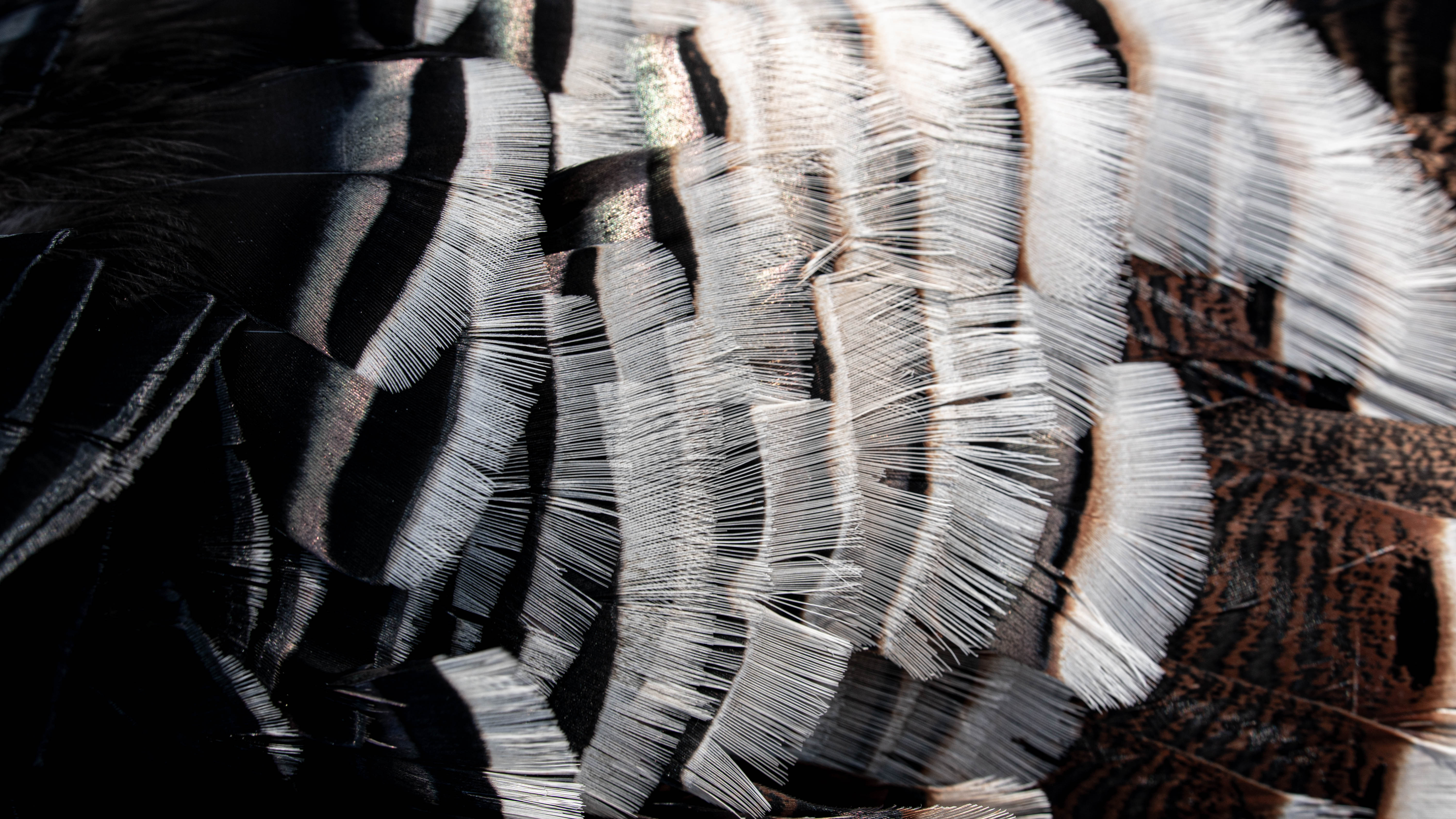 Locator Calls – Foot On Da Head Store